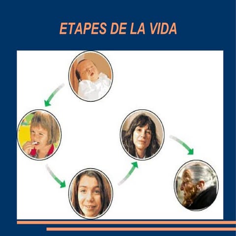 Etapes de la vida | ODP