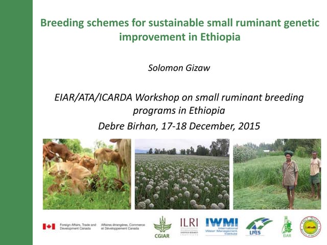 Nucleus breeding system | PPTX