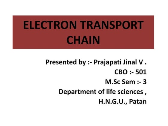 Electron Transport Chain ETC | PPT