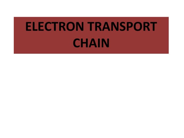 Electron Transport Chain ETC | PPTX