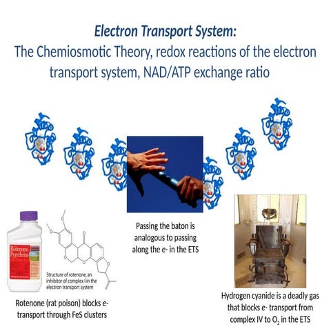 Kampala International University Electron Transfer Cycle.pptx