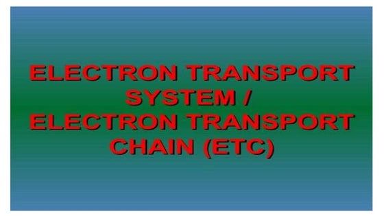 Electron transport chain | PPT