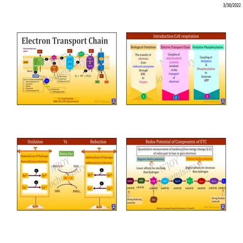 ETC ( biochemistry)- Dr. Trupti Ramteke.pdf