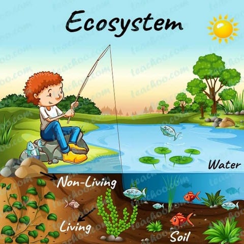 Ecosystem | PPTX