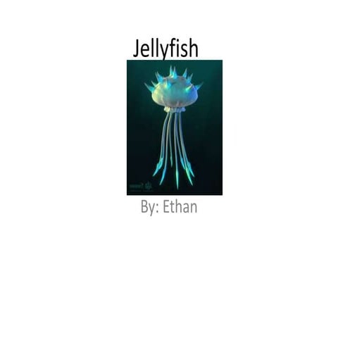 Ethan's first grade powerpoint - Jellyfish | PPTX