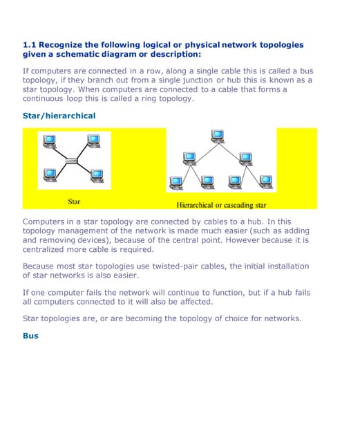 The simple past | PPTX