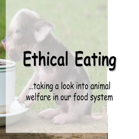 Ethical Eating | PPT