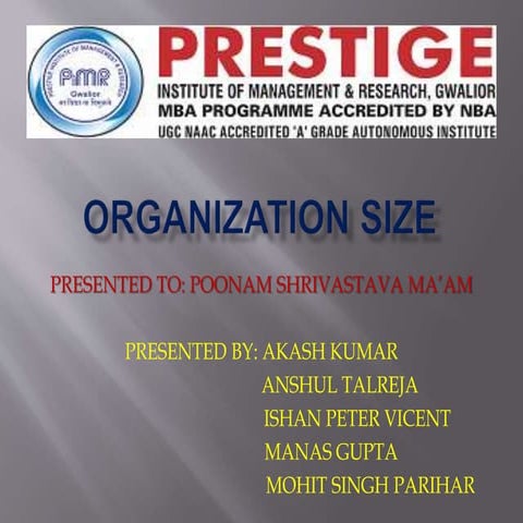 ORGANIZATION SIZE | PPT