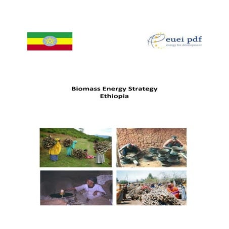 Ethiopia Biomass energy strategy Ethiopia.pdf