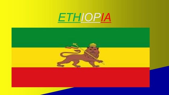 Mikias6 presentations