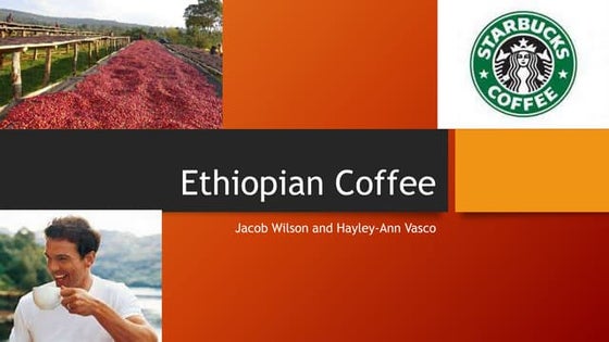 Ethiopian Coffee Guide: Beans, Regions, Flavor Notes, Origins | PDF