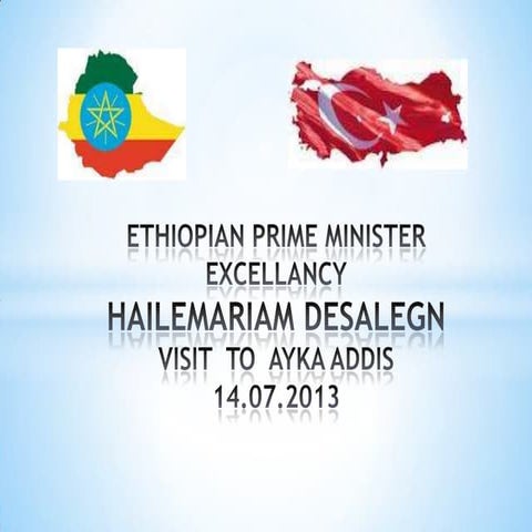 Ercanturkoglu presentations