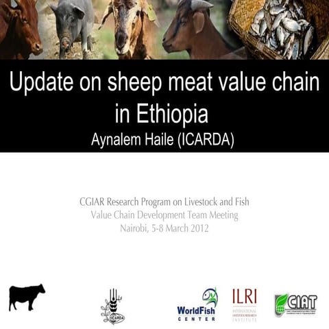 Achievement of the community based sheep breeding project in Menz area ...