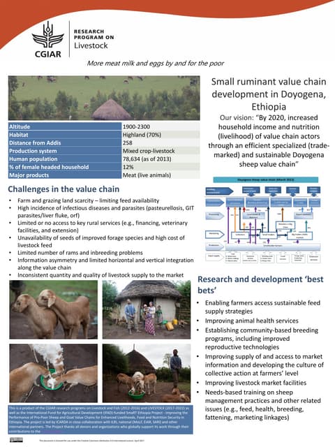 Small ruminant value chain development in Shinille, Ethiopia | PDF