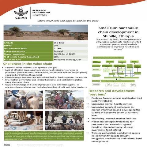 Small ruminant value chain development in Atsbi, Ethiopia | PDF