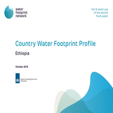 Ethiopia Water Footprint.pdf