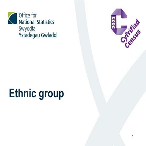 Ethnic group | PPTX
