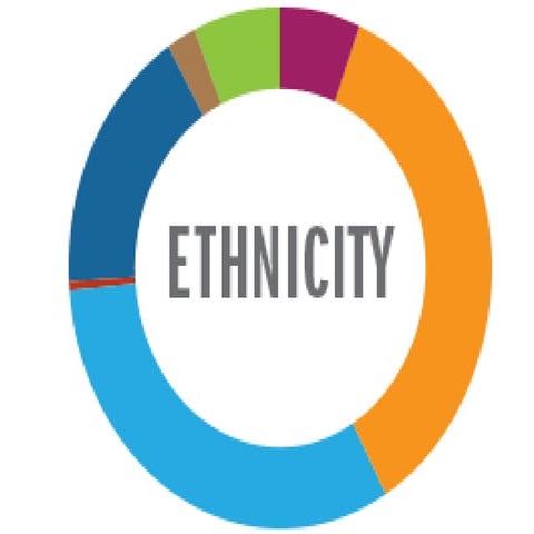 Ethnicity | PPTX