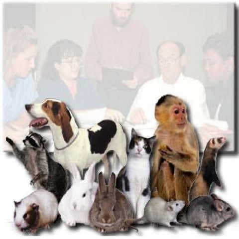 Etica Del Manejo De Animales De Lab | PPT