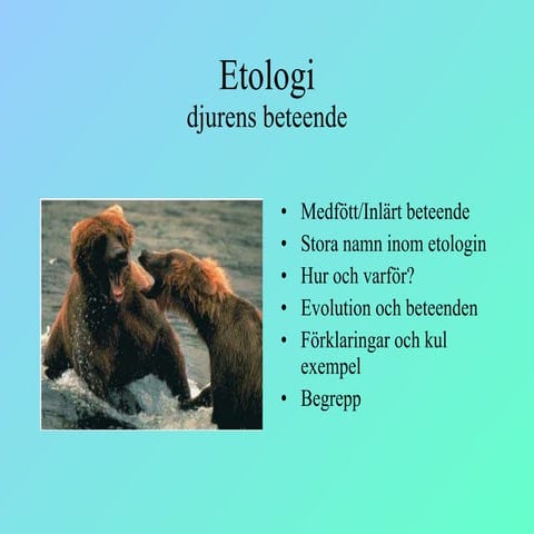 Etologi, ethology | PPT