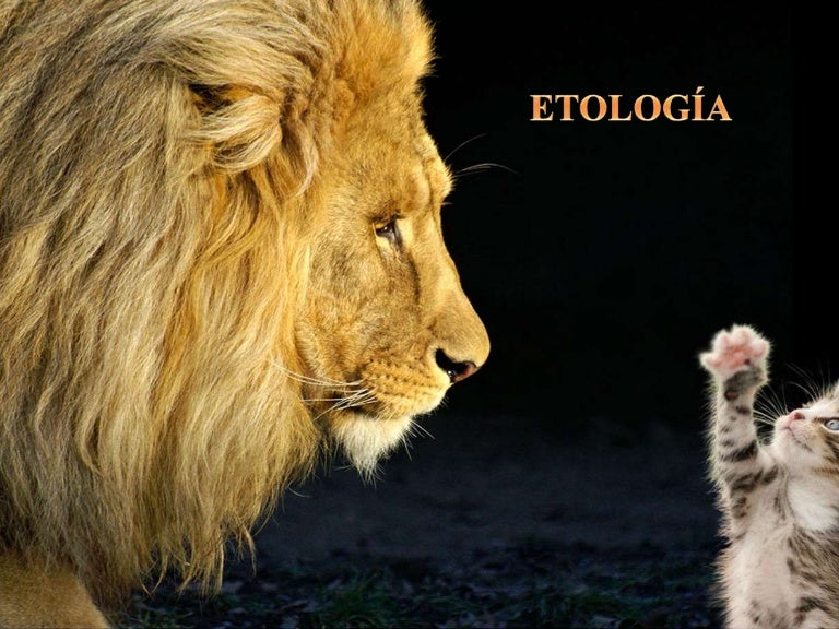 ¿Qué es la Etología?