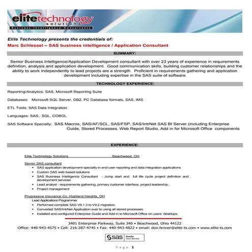 Elite Consultant Profile | PDF