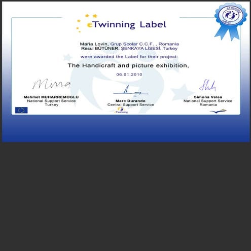 Etw Certificate 22437 En Lm | PDF