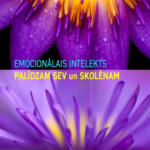 Emocionālais intelekts | PDF