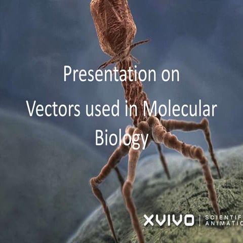 Vector in molecular biology | PPTX