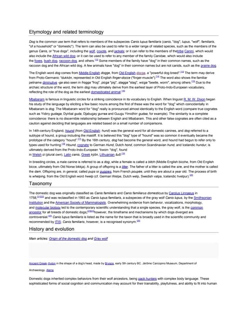 Domestic Animals.pptx