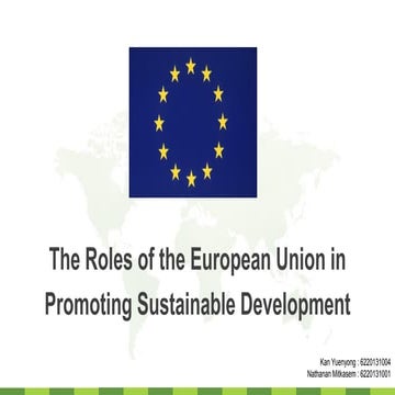 The Roles of the European Union in Promoting Sustainable Development | PDF
