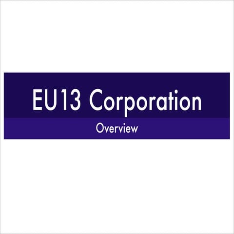 Eu13 Corporation | PDF
