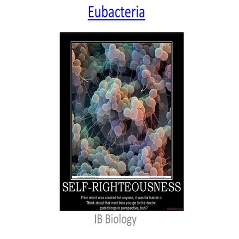 Eubacteria | PPTX