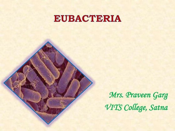 Archeabacteria presentation | PPT