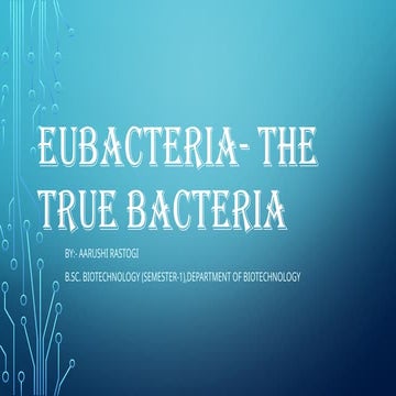 EUBACTERIA- the true bacteria.pptx bsc stu | PPTX