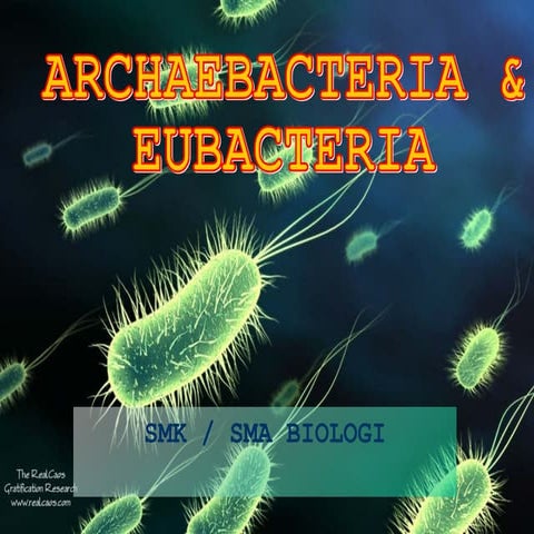 Eubacteria dan archaebacteria | PPT
