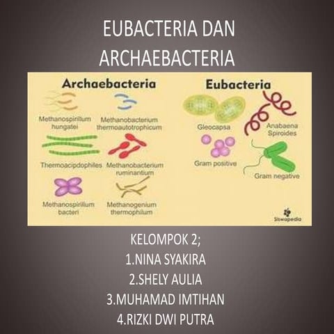 EUBACTERIA DAN ARCHAEBACTERIA.pptx