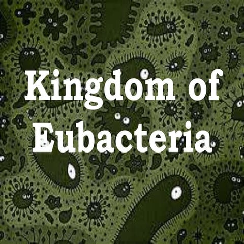 The Eubacteria | PPTX | Chemistry | Science