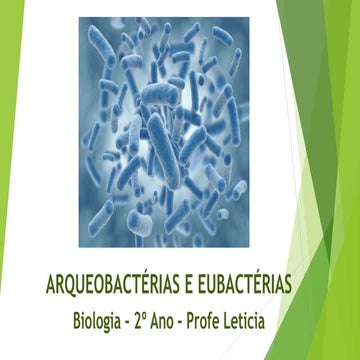 Reino Arqueobacterias E Eubacterias Reino Monera – O Que é E