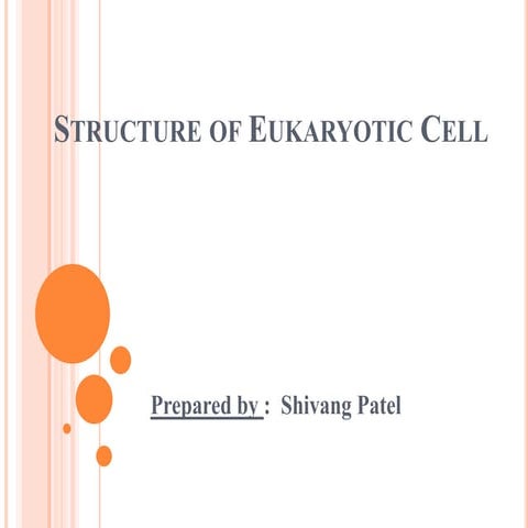 Eukaryotic cell | PPTX