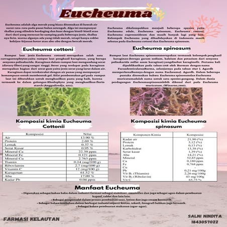 INFOGRAFIS Eucheuma | PDF