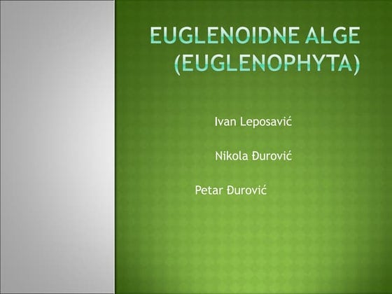 Jednoćelijski eukarioti.pptx, zajednička svojstva | PPTX