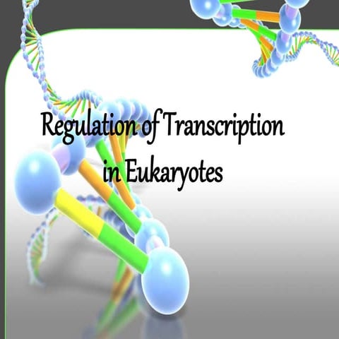 Regulation of Transcription in Eukaryotes | PPTX