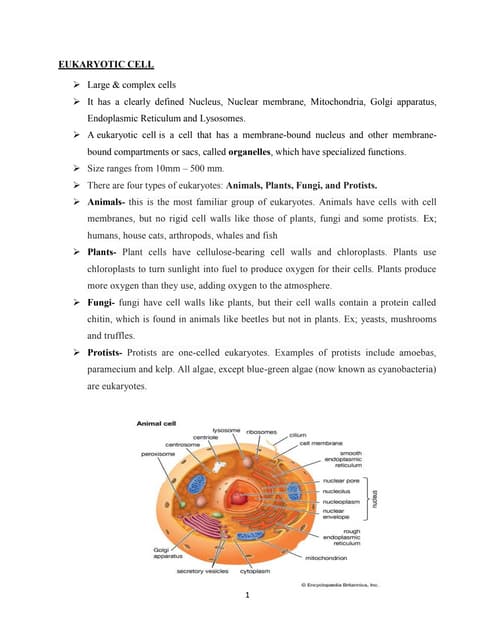 Ix biology full notes chapter 1 | PDF