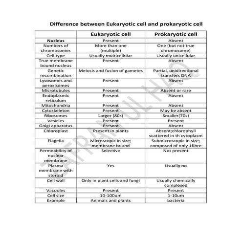 Differences Between Prokaryotes And Eukaryotes Biochemanics Combining