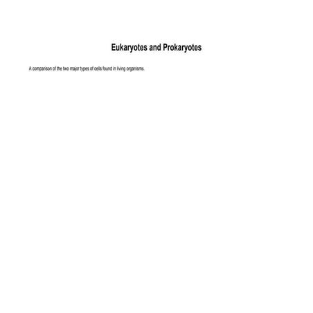Lesson 3 Prokaryotic vs Eukaryotic Cell | PDF