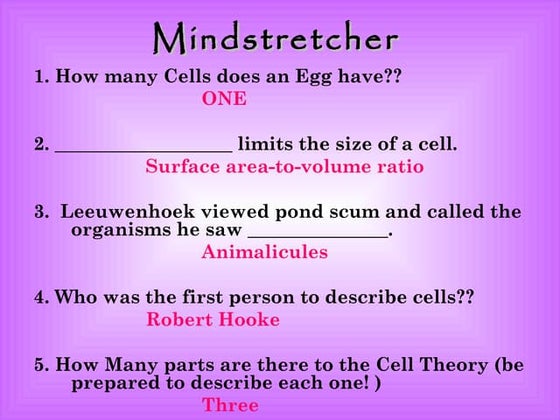 Two Types Of Cells - Eukaryotic and Prokaryotic Cells | PPT ...