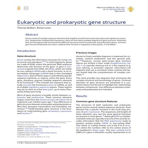 Eukaryotic and prokaryotic_gene_structure | PDF