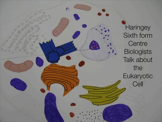 Cell biology | PPTX