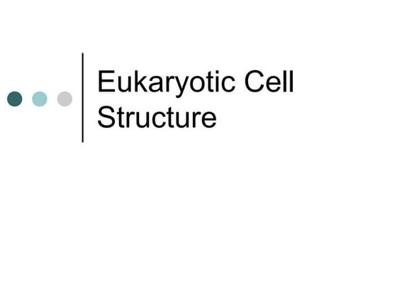 animal cell structure and function of cells | PPTX